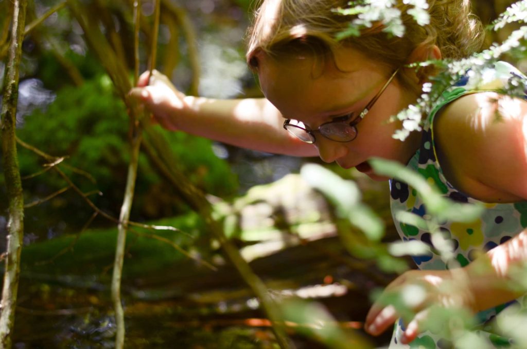 TimberNook-TimberNook-0078 – Collage Day School