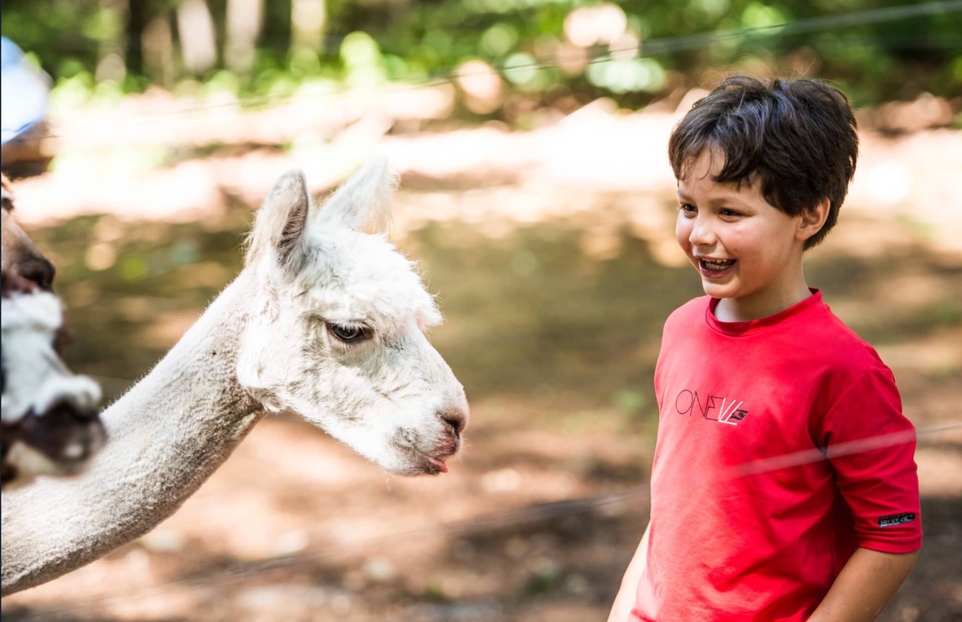 Outdoor Learning Gallery - Ponte Vedra Collage Day School